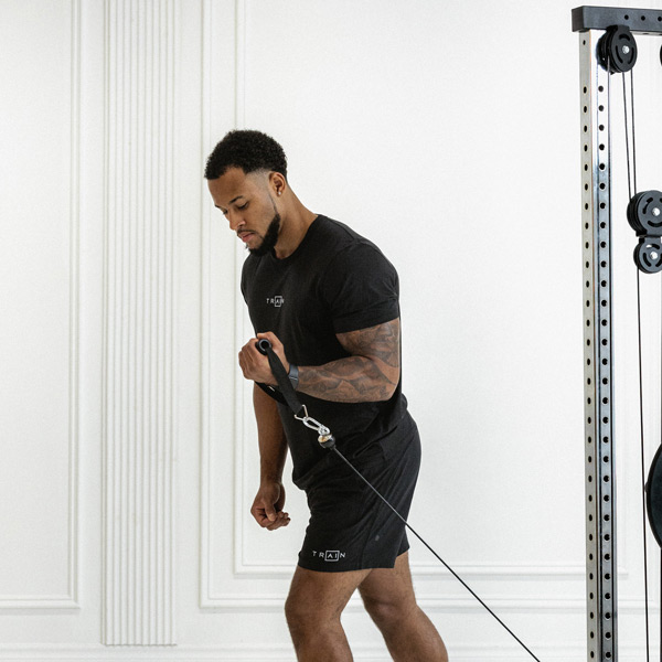 Cable Single-Arm Bicep Curl - Exercise Guide | Motra