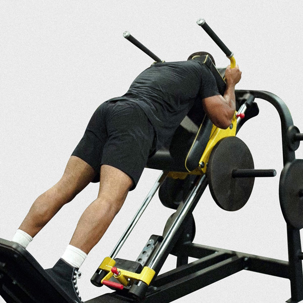 Hack Squat (Facing In) - Exercise Guide | Motra