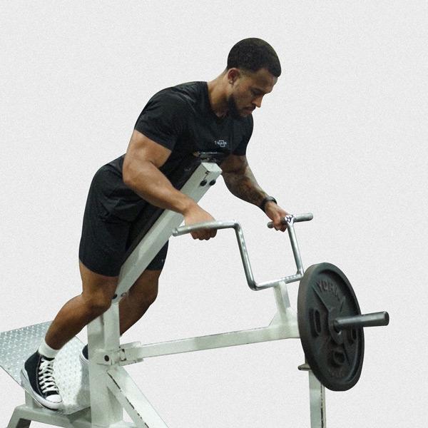 Machine T-Bar Row (45 Deg) - Exercise Guide | Motra